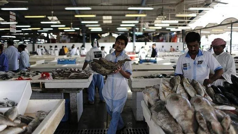 Sheri, Safi fish return to UAE markets after 2-month ban | Khaleej Times