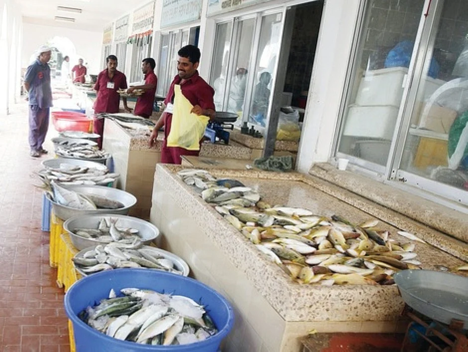 Safi, Sheri fish going cheap | Khaleej Times