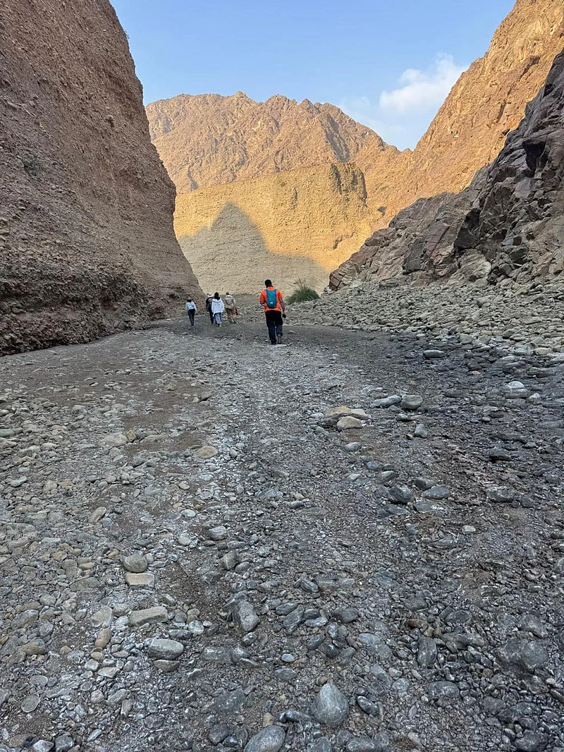 UAE’s Wadi Wurayyah: Inside protected reserve that has country’s only ...