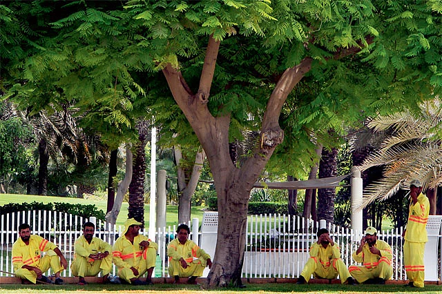 Look: How UAE heroes spend 150-minute break as midday work ban begins ...