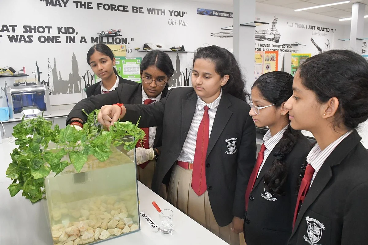 Dubai students invent device that can save fish, coral reefs as ocean ...