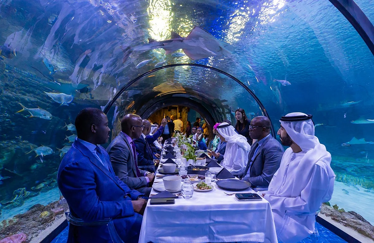 Watch: Underwater iftar in Abu Dhabi features 'extremely rare' sea cows ...