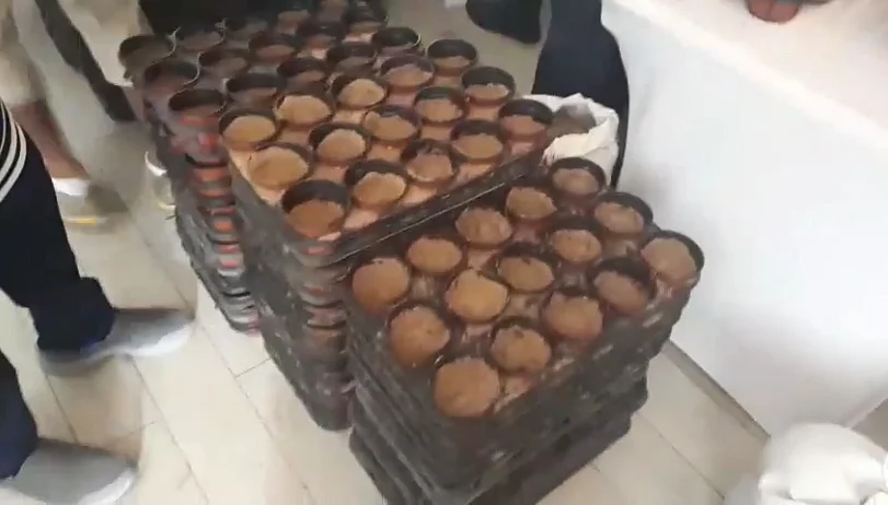 Over 20,000 ghaf tree pots lead Dubai to another world record | Khaleej ...