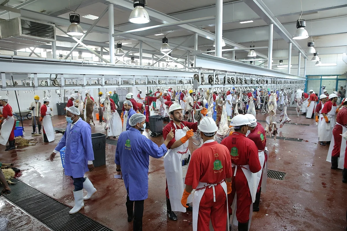 Eid Al Adha sacrifices: Abu Dhabi boosts slaughterhouse capacity to ...