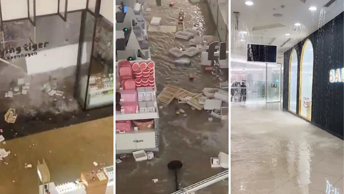 Watch: Heavy rains cause malls in Dubai to flood, water to gush through ...