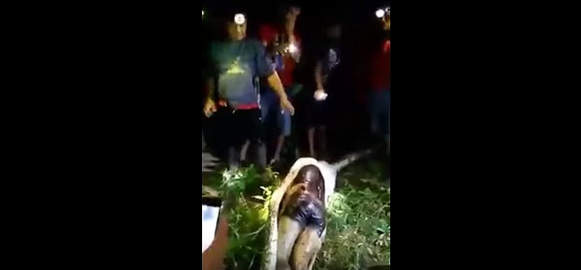 Man found dead inside giant python | Khaleej Times