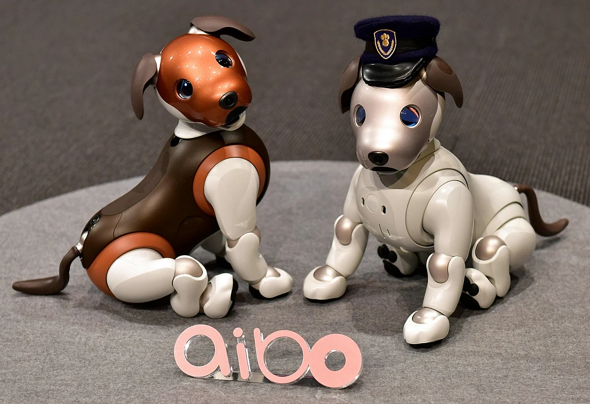 Paw patrol: Sony offers robocop dog at home | Khaleej Times