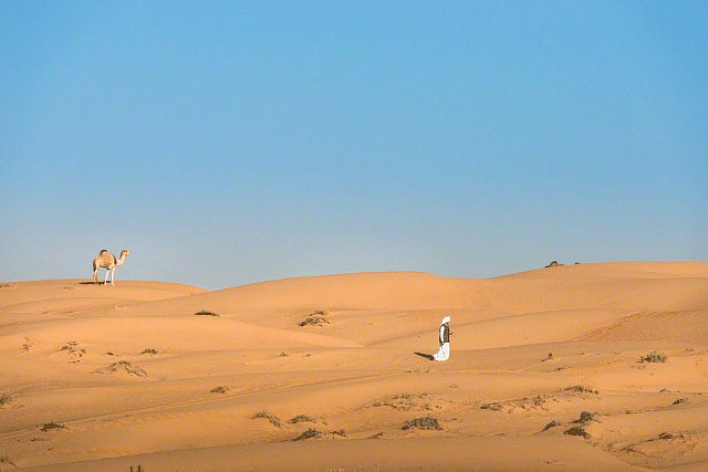 Let's care for UAE's deserts and protect them | Khaleej Times