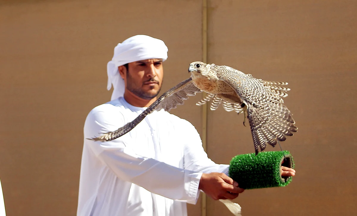 From 4-year-old falconers to Dh1-million birds: How UAE is keeping the ...