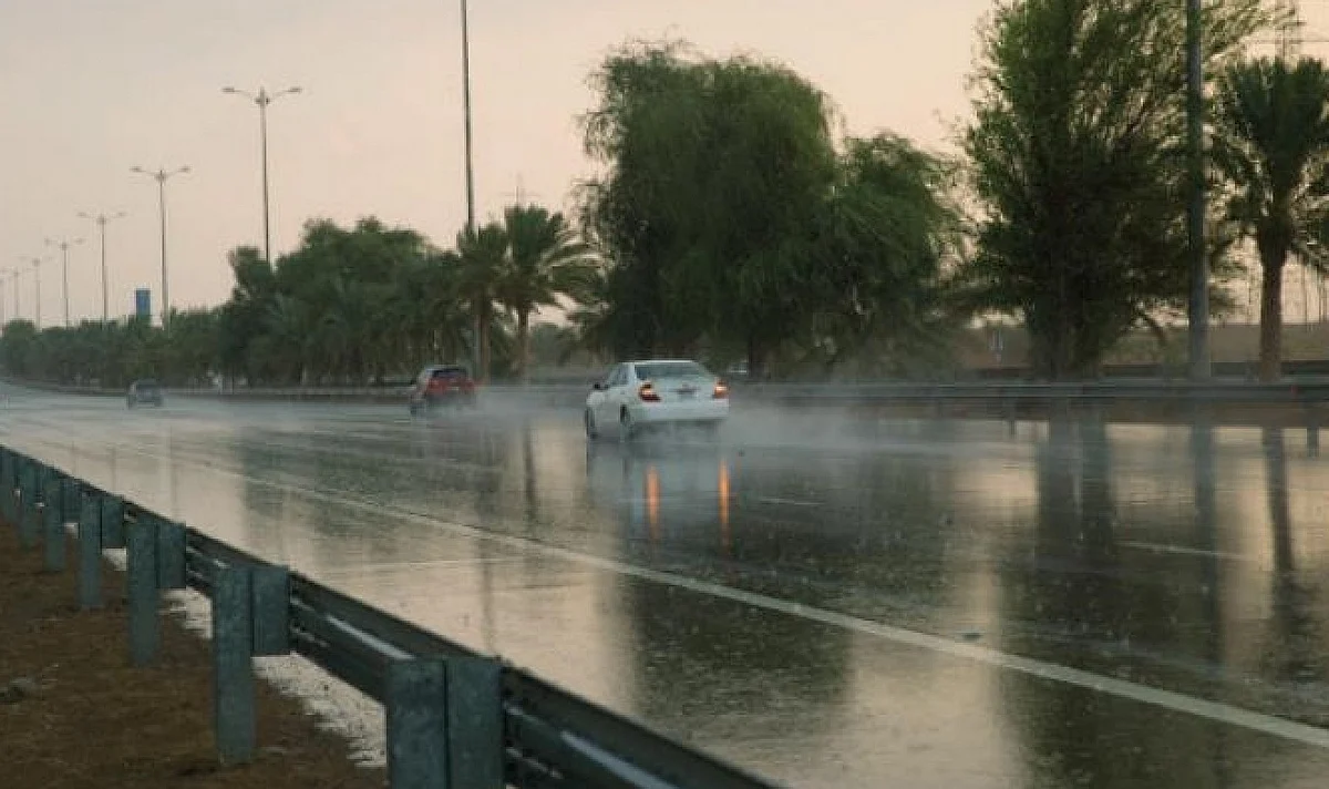 UAE weather: Red, yellow alerts issued for fog; rainfall expected in ...