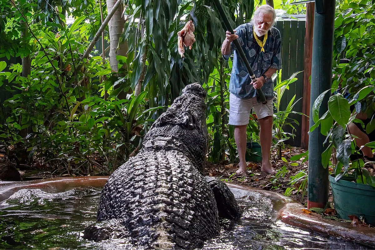 World's largest captive crocodile Cassius dies in Australia | Khaleej Times