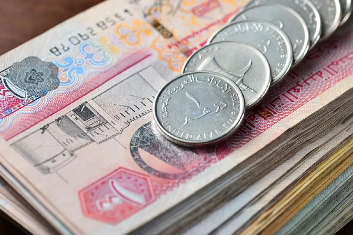 UAE: How to pay court fines in instalments; step-by-step guide ...