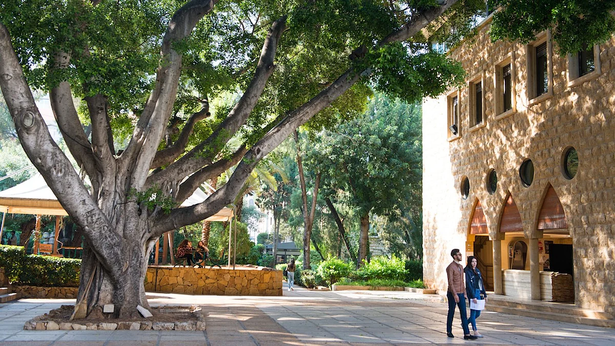LAU announces new online master's degrees in Applied AI, Construction ...