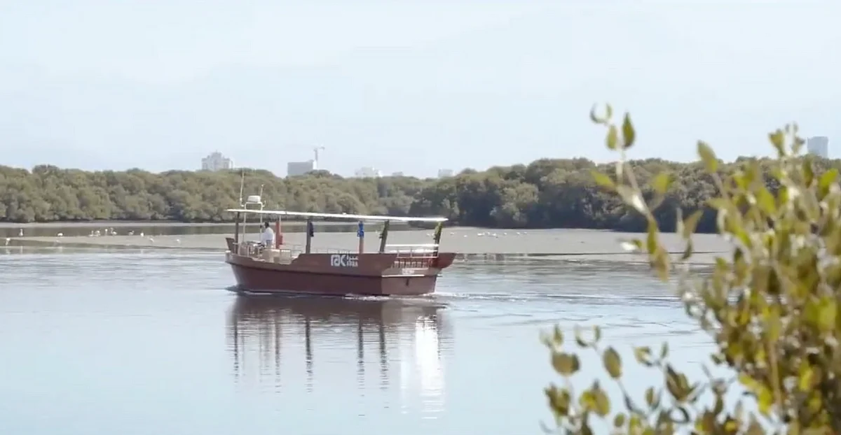 UAE: Now, explore the RAK Creek in an abra; watch video | Khaleej Times