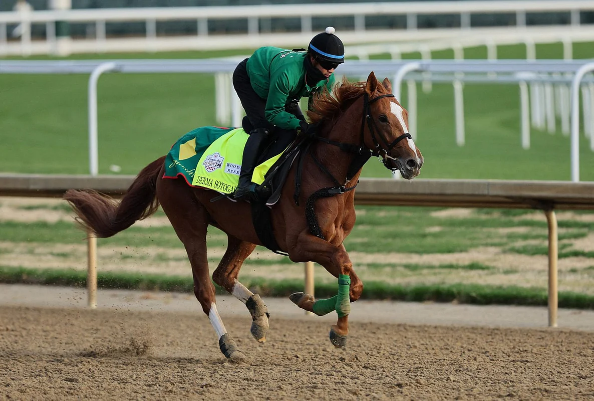 Japan's UAE Derby winner Derma Sotogake shoots for glory in Kentucky ...