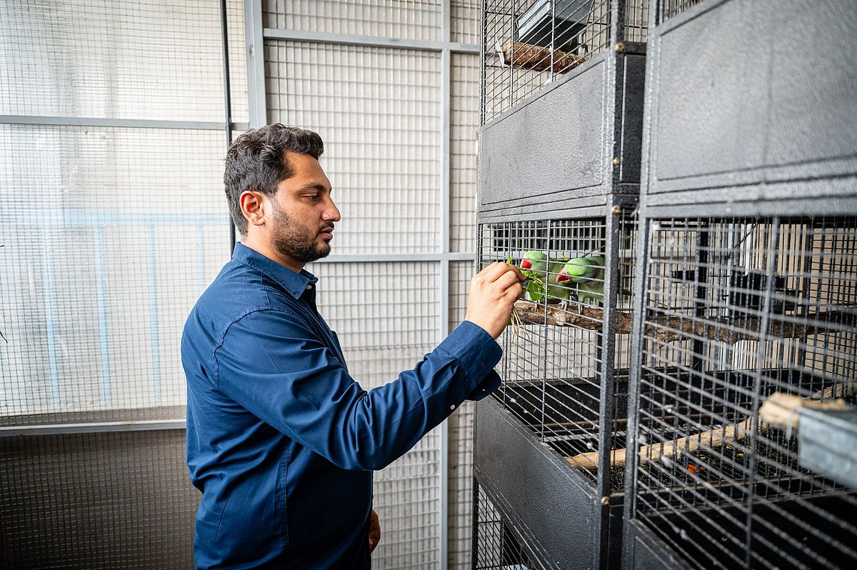 This UAE resident has over 150 birds worth Dh200,000 at aviary he built ...