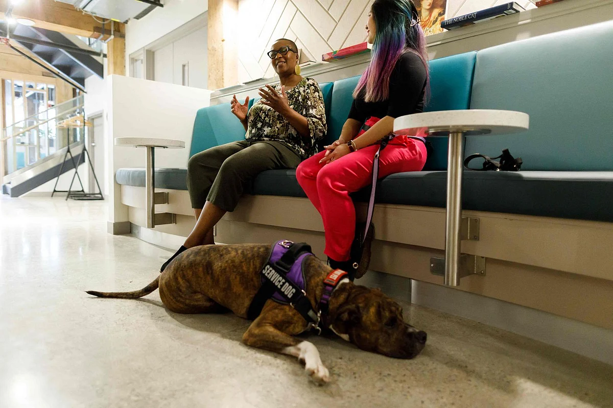 Canada's exclusion of mental illness from assisted death challenged in ...