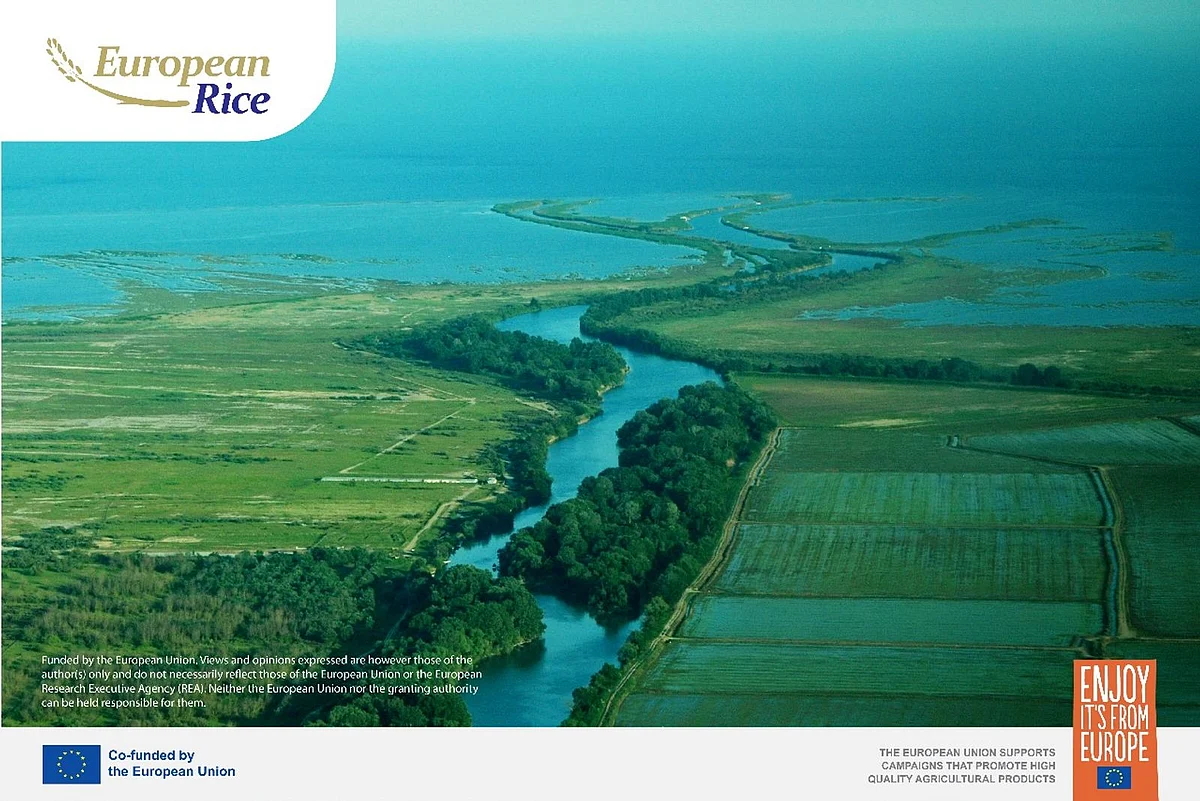 European Rice emphasises the need for sustainable farming | Khaleej Times