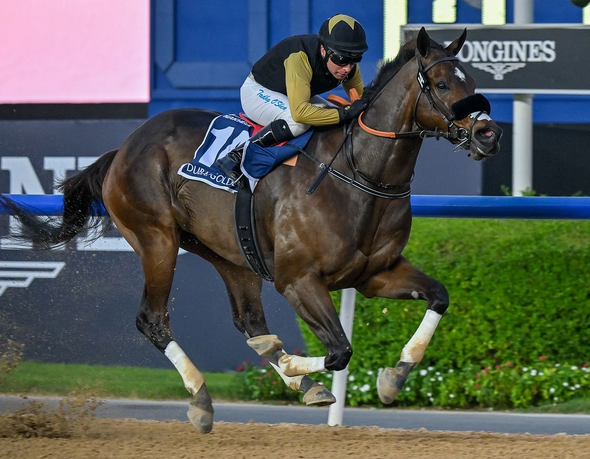 Dubai World Cup: O'Shea pays tribute to tough horse after winning ...
