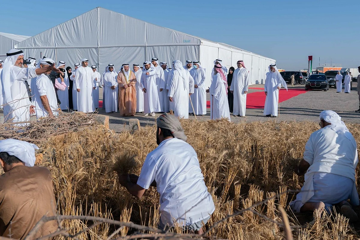 UAE: Sharjah Ruler launches cow breeding project, says bread made in ...
