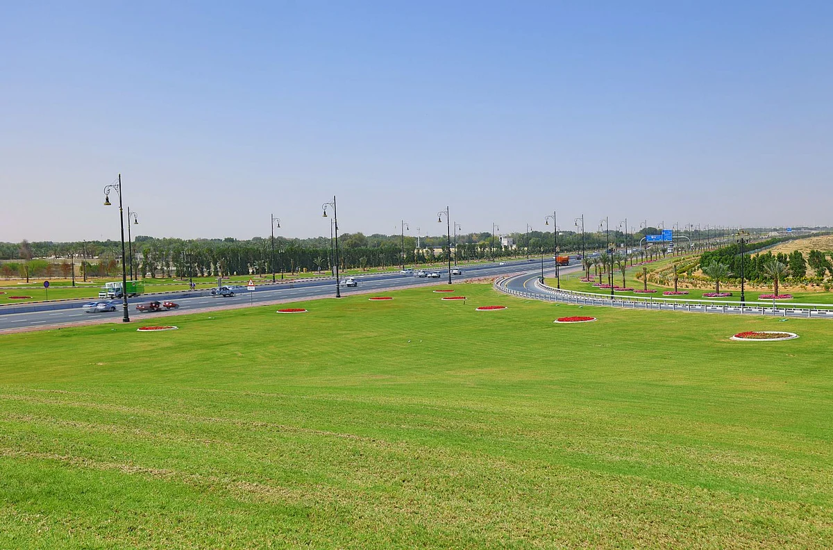 Look: 22 million-sqm of greenery blooms in Sharjah | Khaleej Times