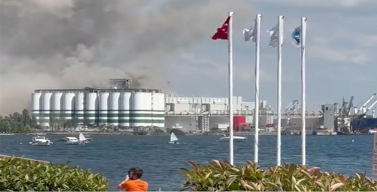 Video: Explosion injures 12 near grain silos at Turkish port | Khaleej ...