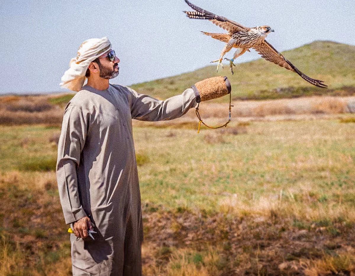 UAE: Over 2,000 falcons 'return to nature' in initiative by late Sheikh ...