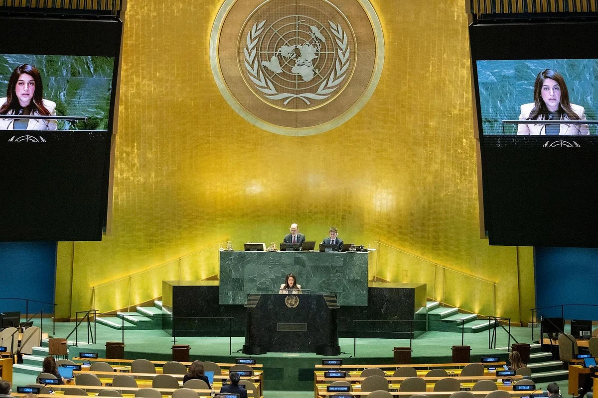 UAE calls for restricting use of veto power at UN security council ...