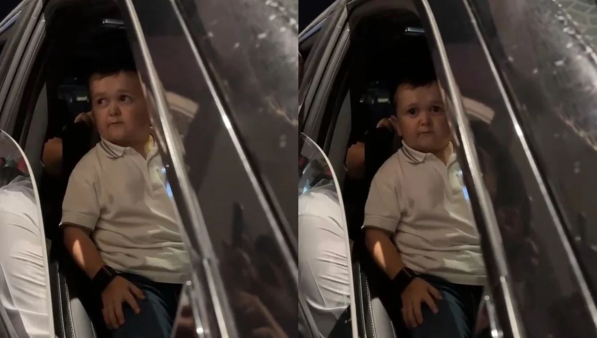 Watch: Hasbulla spotted at UFC event in Abu Dhabi