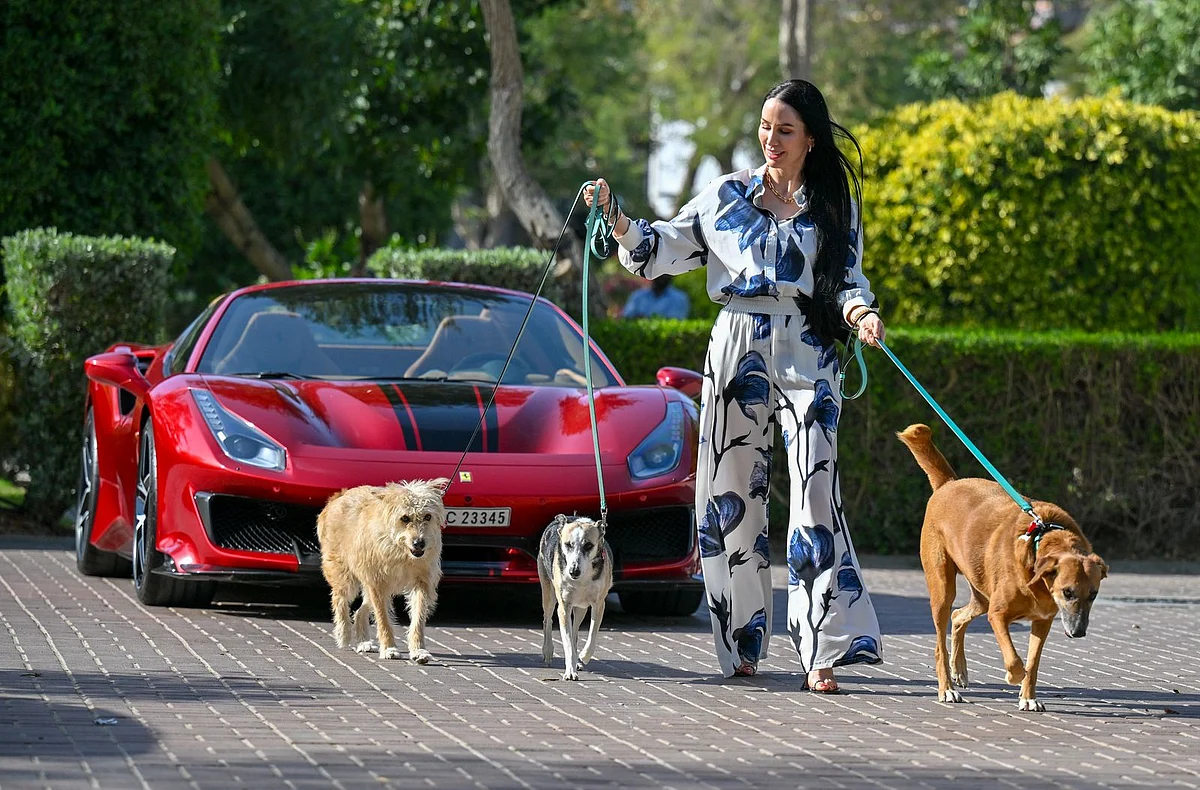 My Dubai Car: 'Ferrari has near-infinite ways to match the car specs ...