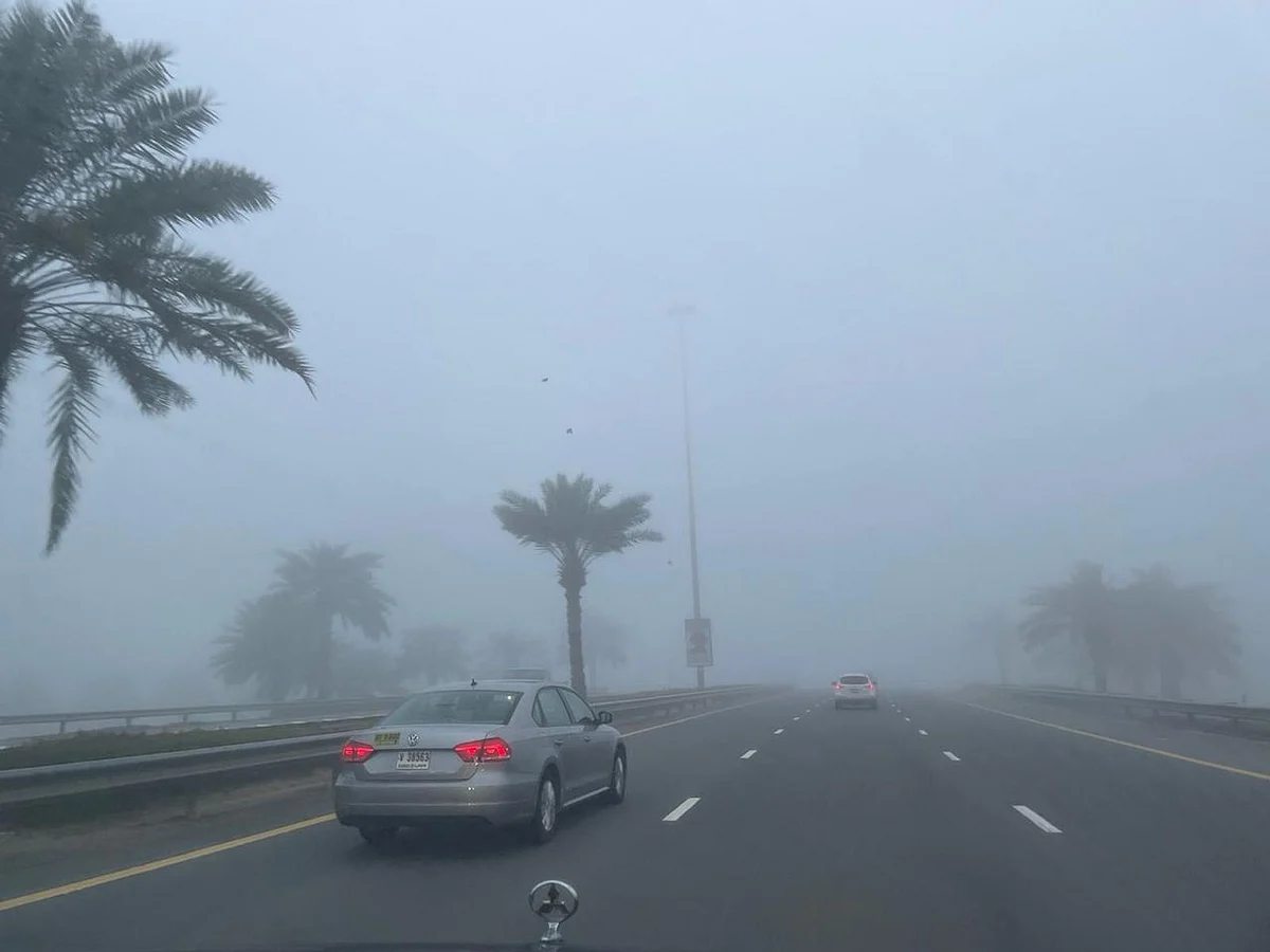 UAE weather: Red alert issued as fog covers airports, major roads ...