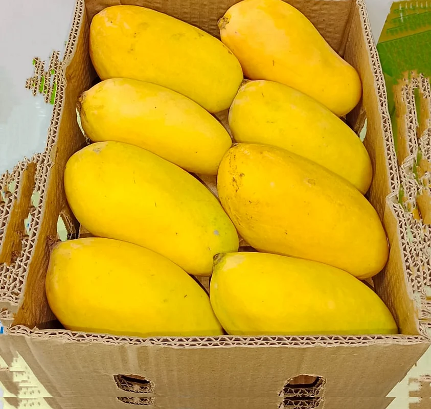 Pakistani mangoes arrive in UAE: Are they cheaper this year? | Khaleej ...