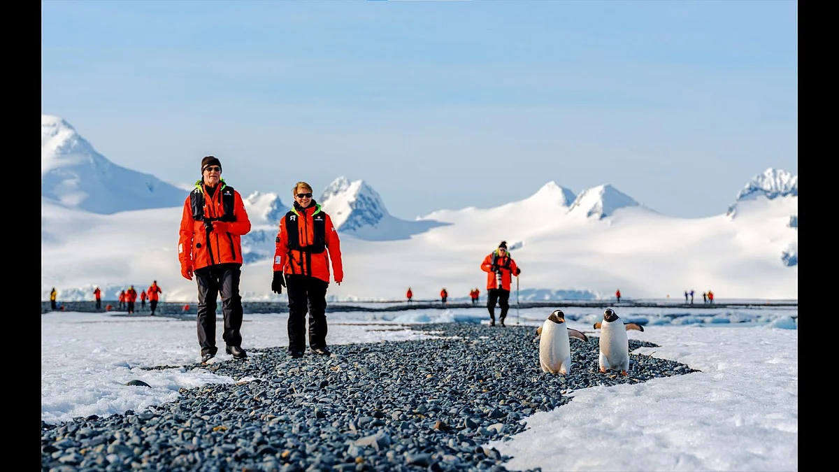 Cleaning up on holiday, no fancy hotels: Would you go for this new UAE ...