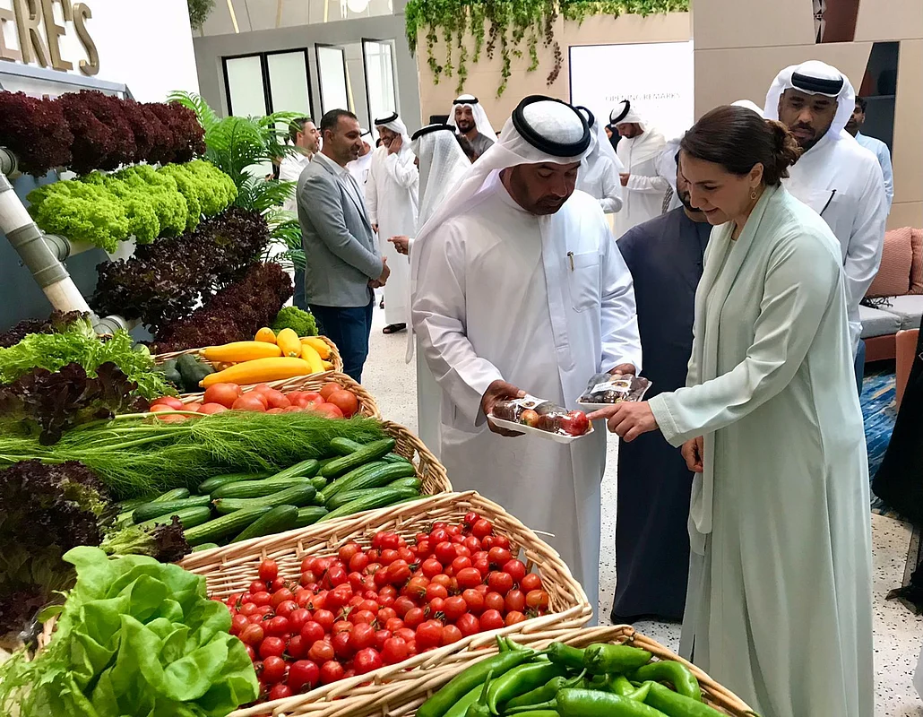UAE aims to get 50% basic food from local farms by end of this year ...
