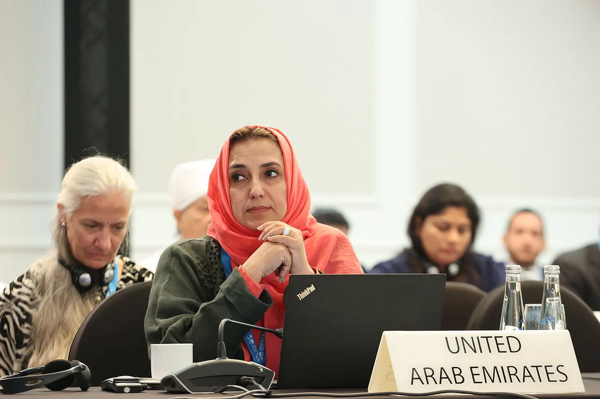 UAE seeking global solution to climate change, says official | Khaleej ...