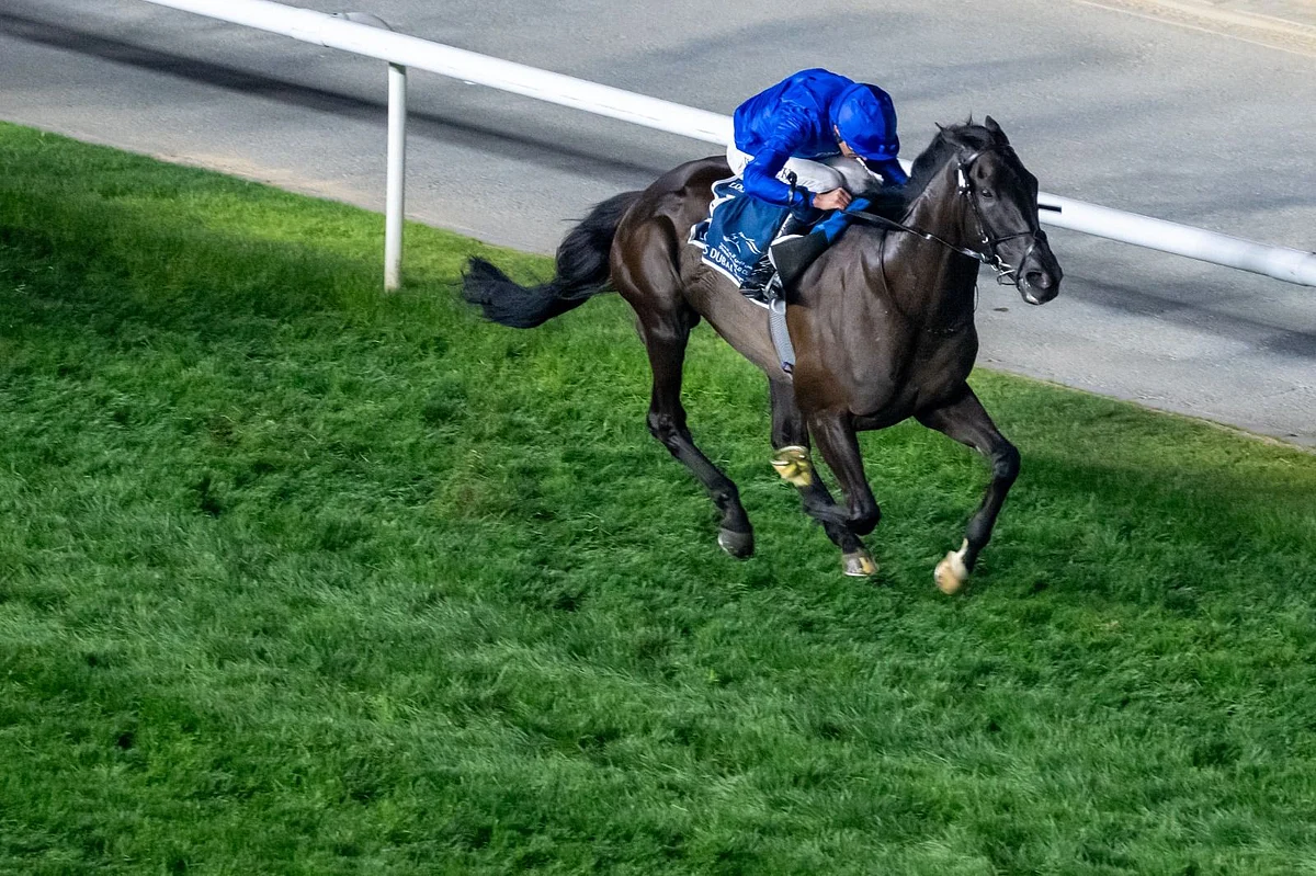 Dubai World Cup: Rebel's Romance warms hearts in Dubai Sheema Classic ...