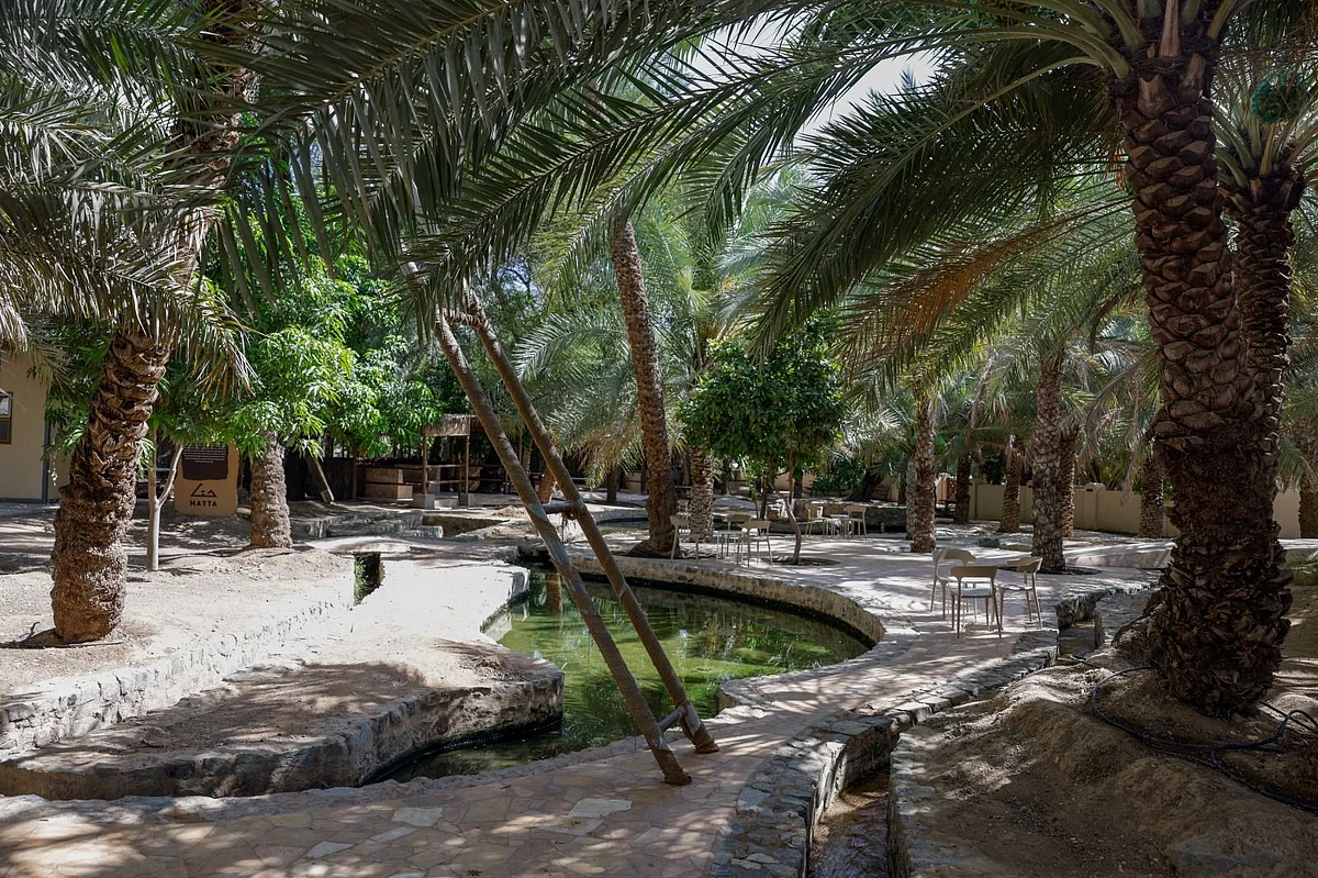 Watch: Hatta's stunning Leem Lake, farms with charity endowment that ...