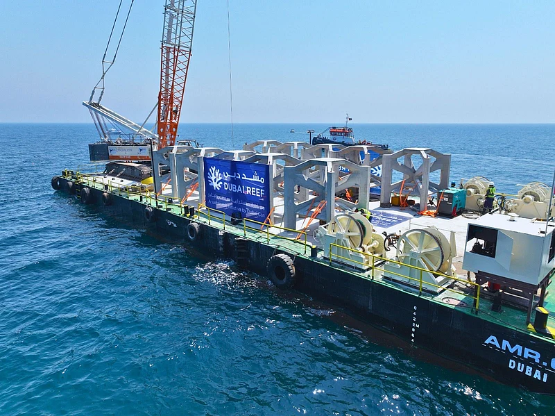 Dubai: First of 20,000 reefs that can last over a century deployed off ...