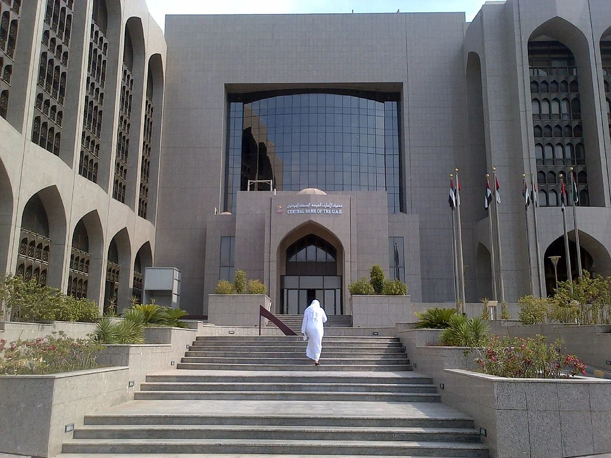 Central Bank appoints head of UAE financial intelligence unit | Khaleej ...