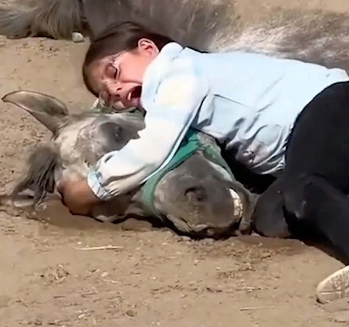 Dubai Ruler gifts 8-year-old jockey herd of horses after her mare dies ...