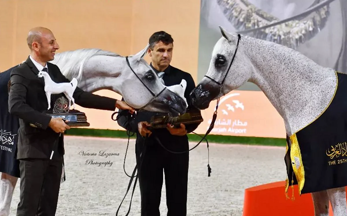 World renowned D Aziza wows fans at Dubai International Arabian Horse ...