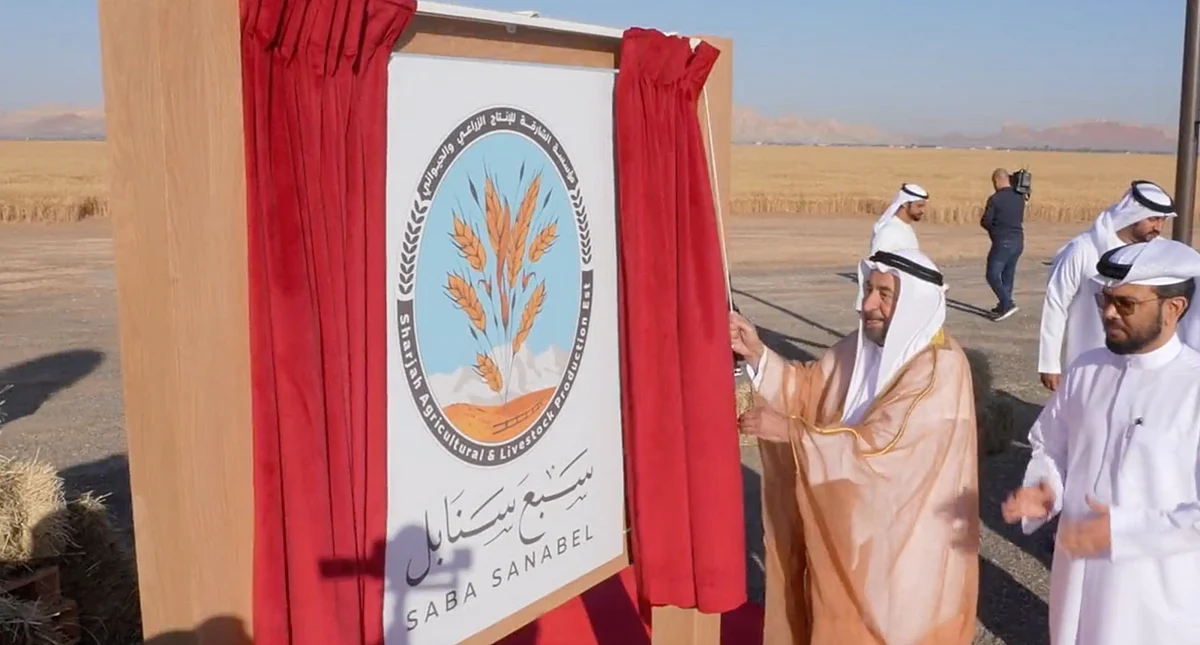 Watch: Sharjah Ruler drives to massive UAE wheat farm to witness first ...