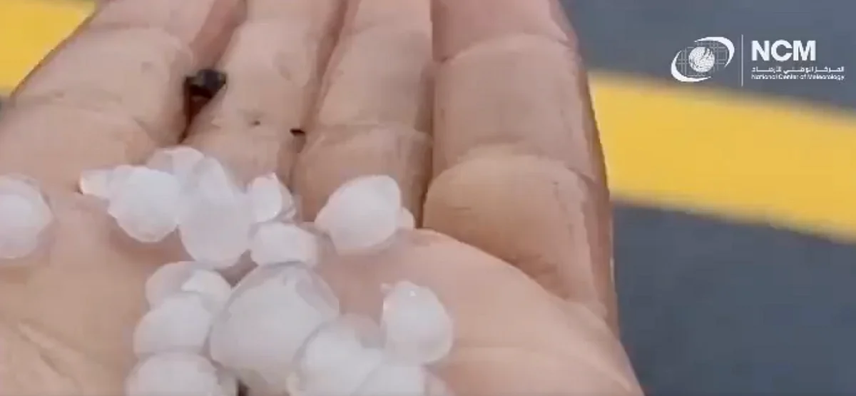 Watch: Man in UAE scoops up ice as hail, heavy rains hit some areas ...